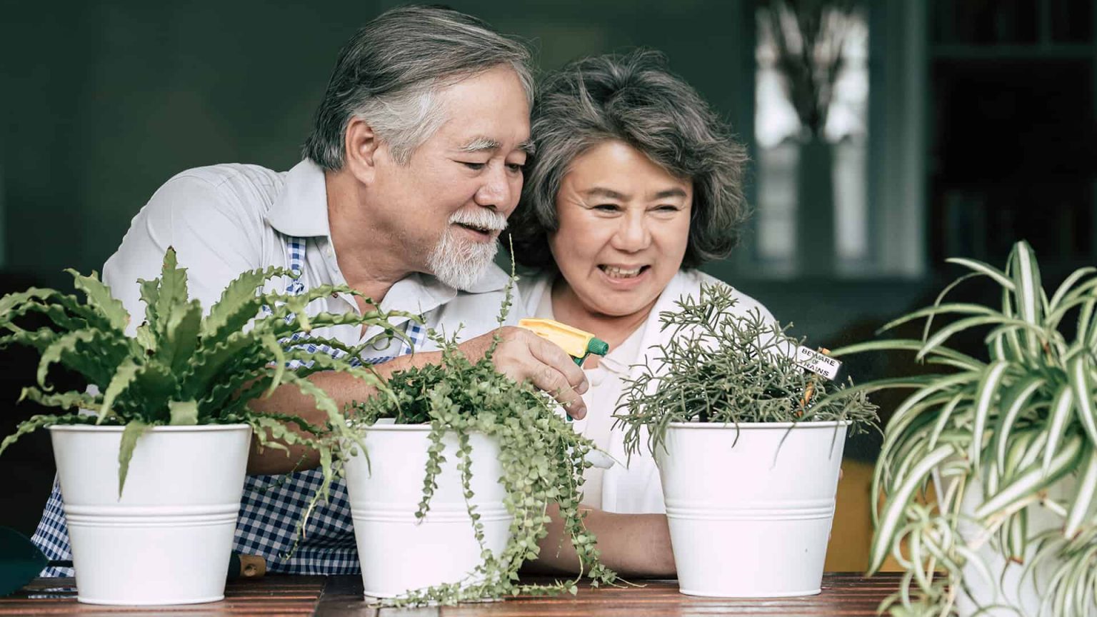 The Keys to Aging Healthily - Raffles Medical Cambodia